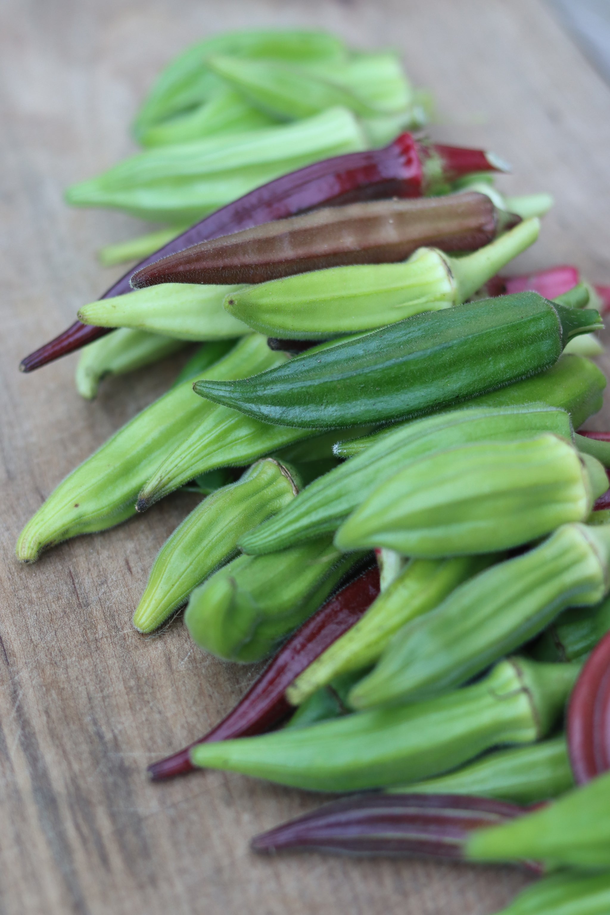 Okra Seed - Adapted for Eastern Canada — Annapolis Seeds