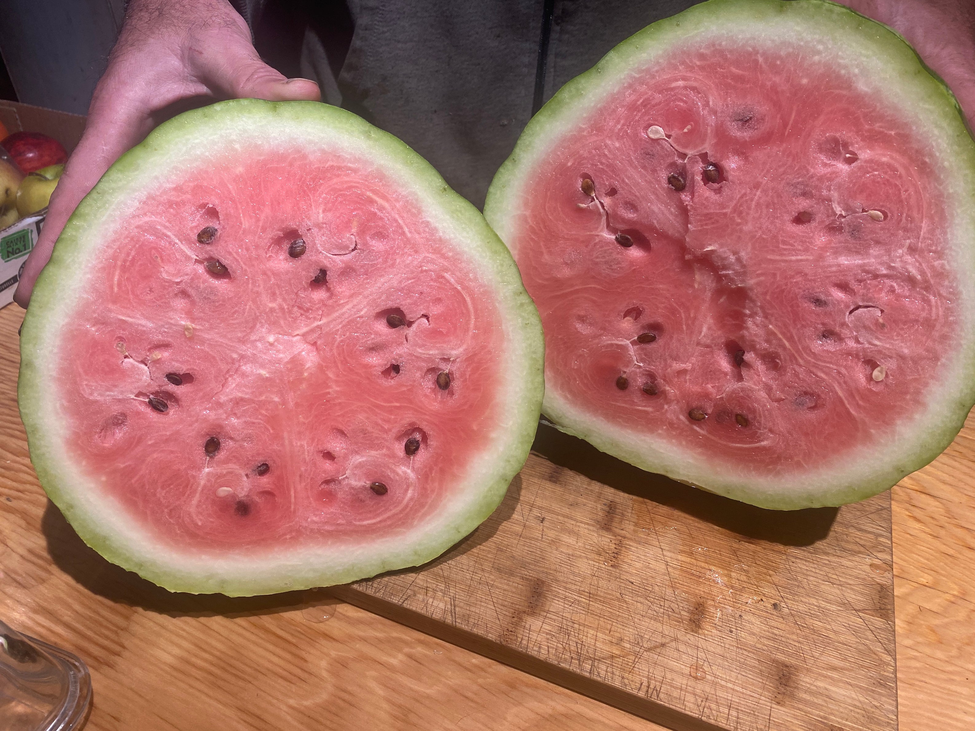 Sweet Dakota Rose Watermelon — Annapolis Seeds