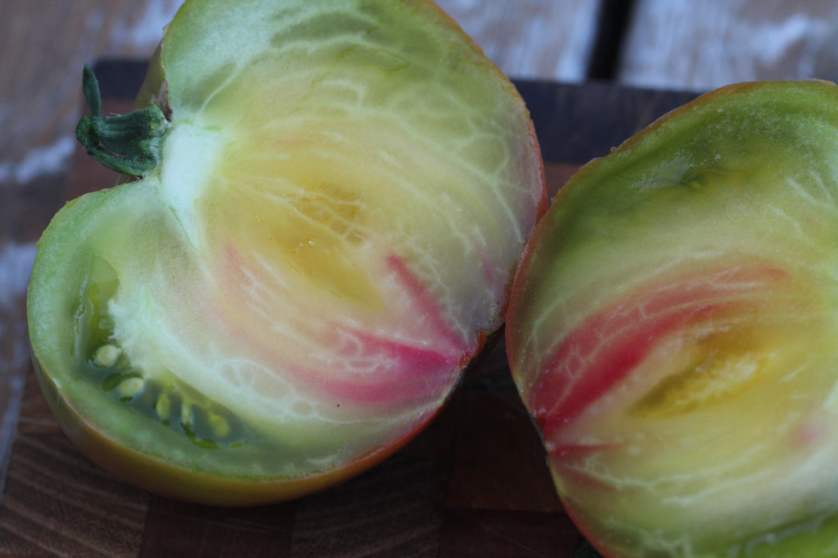 Captain Lucky Tomato Seeds - Grown in Nova Scotia Canada — Annapolis Seeds