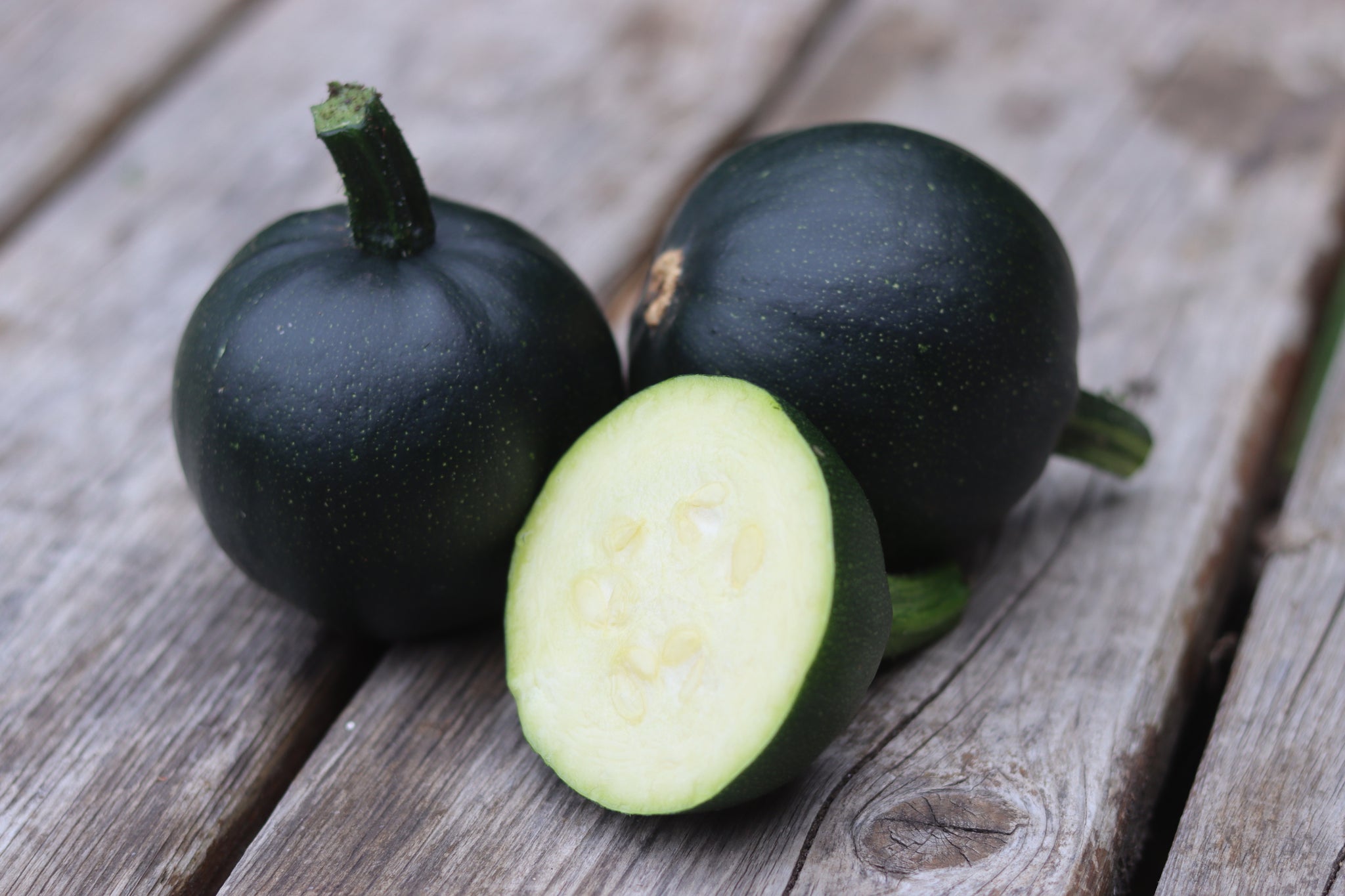 Winter Squash — Annapolis Seeds