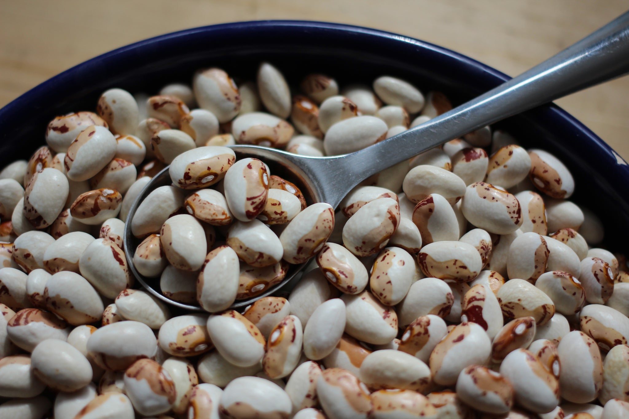 Heirloom Dry Beans - Grown in Nova Scotia — Annapolis Seeds
